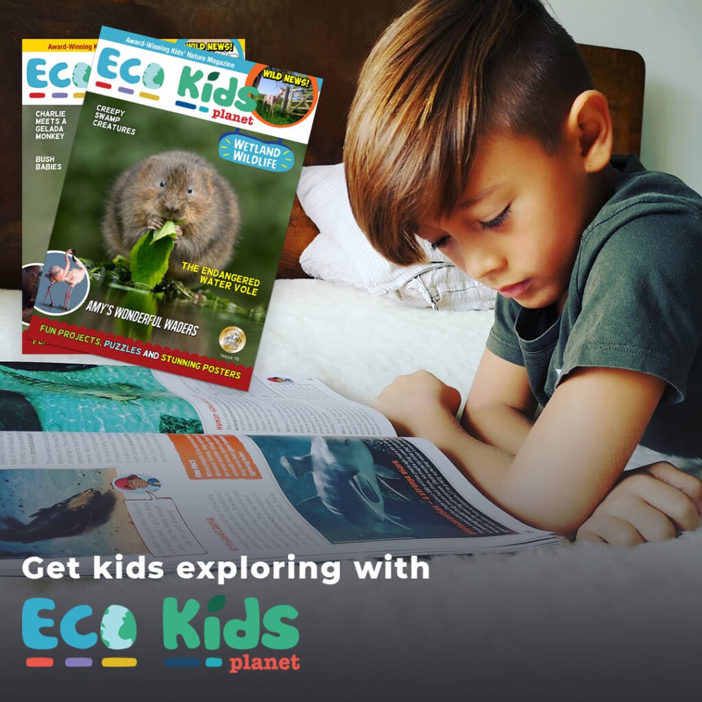 The Best Magazine Subscriptions for Kids in the UK | Club Hub UK