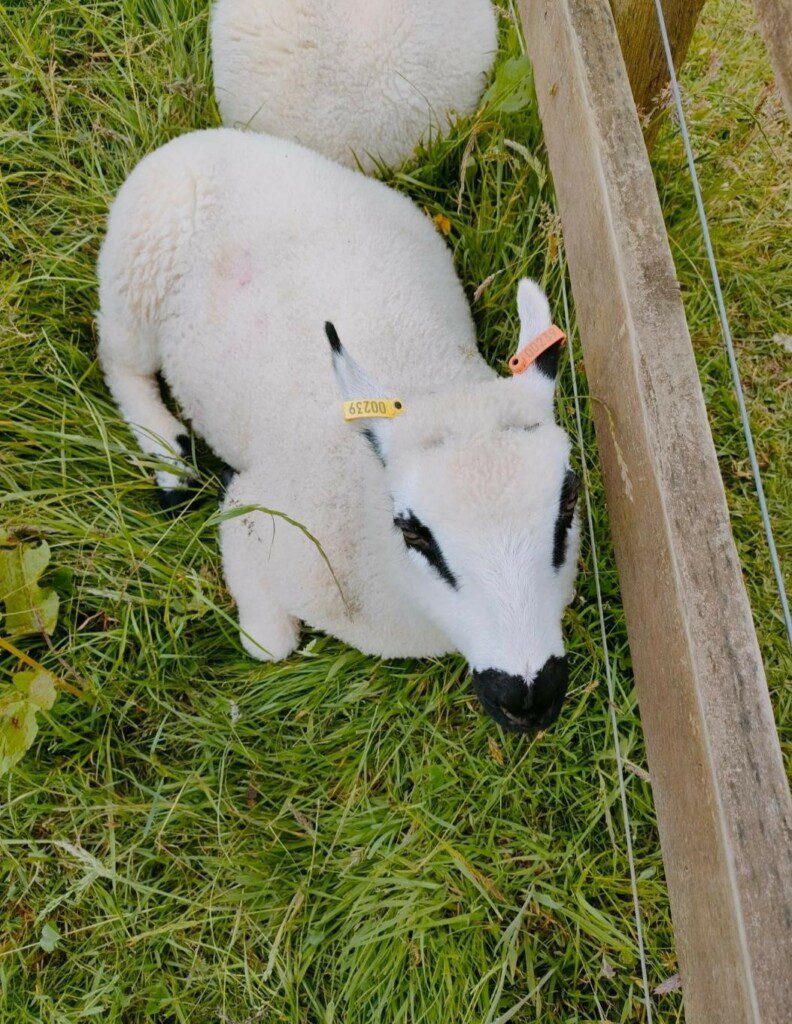 The Best Spring Activities for Kids - Club Hub UK