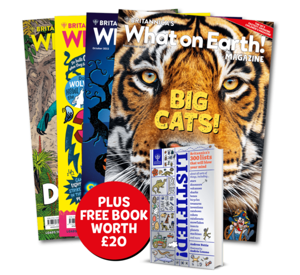 The Best Magazine Subscriptions for Kids in the UK